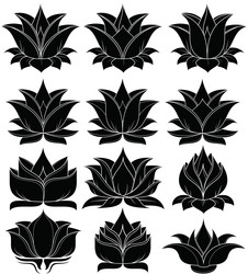 Lotus set Royalty Free Vector Image - VectorStock