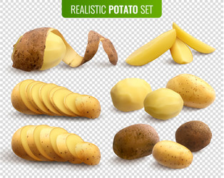Potato Vector Images (over 55,000)