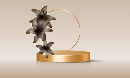 Abstract gold and silver arch template background Vector Image