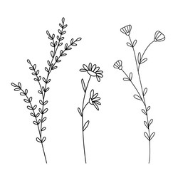 Hand drawn wildflowers set outline flower Vector Image
