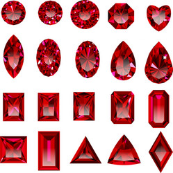 Set of realistic diamonds with different cuts Vector Image