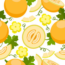 Seamless pattern with cartoon melons Royalty Free Vector