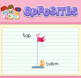 Opposite Top Bottom Vector Images (74)