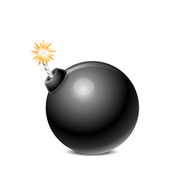 Cricket ball bomb concept Royalty Free Vector Image
