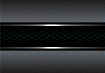 Silver black line overlap blue grey hexagon Vector Image