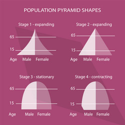Four type of population pyramids charts Royalty Free Vector