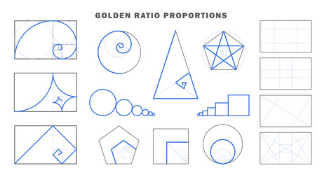 Golden Ratio Template Royalty Free Vector Image