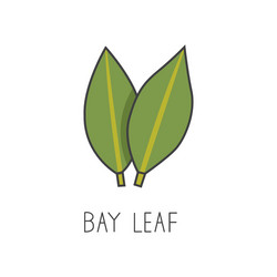 Bay Leaf Logo Vector Images (over 520)
