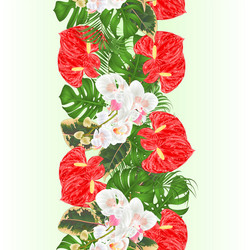 Anthurium Border Vector Images (55)