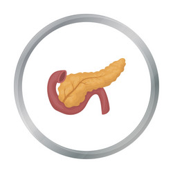 Pancreas icon in cartoon style isolated on white Vector Image