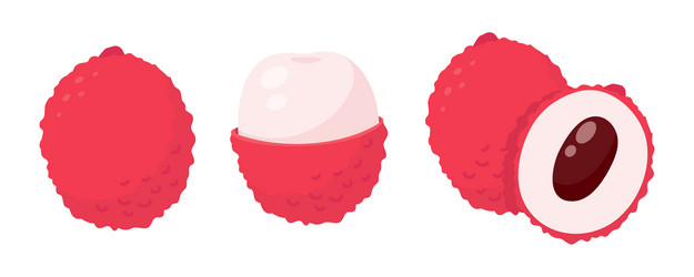 Lychee Vector Images (over 2,500)