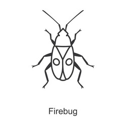 Firefly Outline Vector Images (over 280)