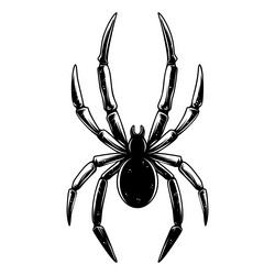 Spider design element for logo label sign emblem Vector Image