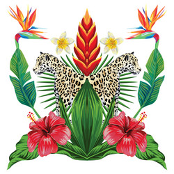 Cat looking mirror conceited kitten look on Vector Image