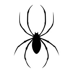 Spider design element for logo label sign emblem Vector Image