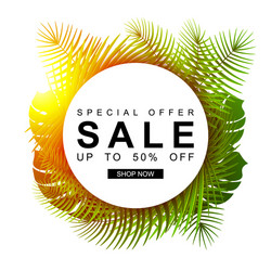 White label with tropic leaves Royalty Free Vector Image