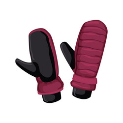 Snow mittens gloves winter cartoon Royalty Free Vector Image