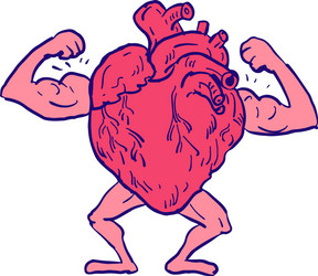 Human heart Royalty Free Vector Image - VectorStock