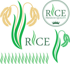 Plants are growing from the water Royalty Free Vector Image