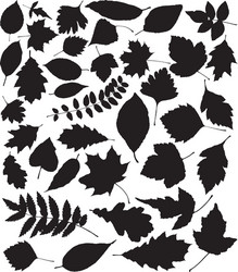 Leaves Vector Images (over 660,000)