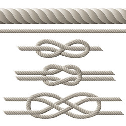 Ropes and knots Royalty Free Vector Image - VectorStock