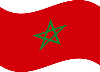 Simple flag of morocco moroccan correct size Vector Image