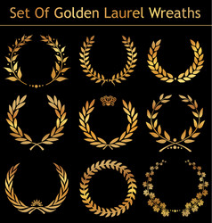Golden Laurel Wreath Collection Royalty Free Vector Image