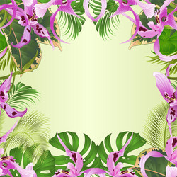 Purple Orchid Border Vector Images (over 250)