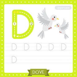 Letter d uppercase and lowercase tracing practice Vector Image