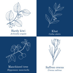 Khat Vector Images (60)