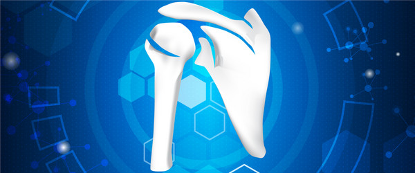 Shoulder Vector Images (over 24,000)