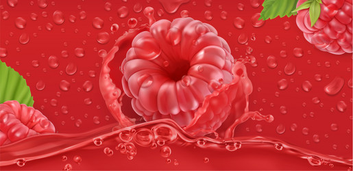 Realistic juicy raspberry splash fresh fruit Vector Image