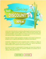Spring poster with text in frame colorful bouquet Vector Image