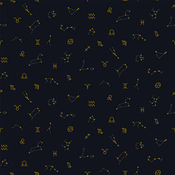 12 Zodiac Signs Constellations Isolated Set Vector Image