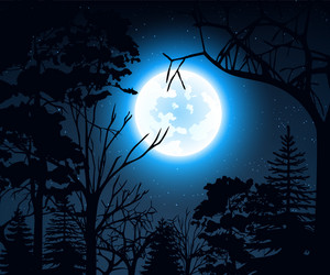 Thumbnail design with super moon night Royalty Free Vector