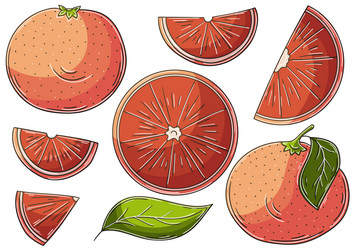 Grapefruit Outline Vector Images (over 960)