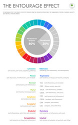 Entourage Vector Images (over 650)