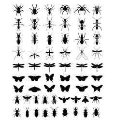 Insects Vector Images (over 170,000)