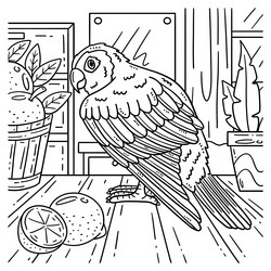 Conure bird isolated coloring page for kids Vector Image