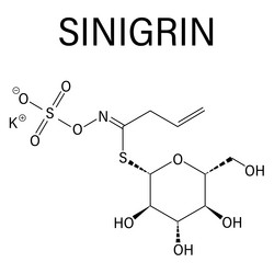 Sinigrin glucosinolate molecule skeletal formula Vector Image