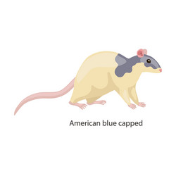 Cartoon Blue Rat Vector Images (over 460)
