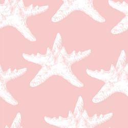 Pink beach starfish Royalty Free Vector Image - VectorStock