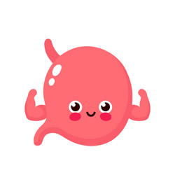 Cartoon gut human body organ intestine character Vector Image