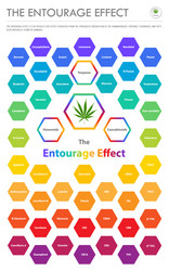 Entourage Vector Images (over 660)