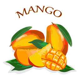 Mango Texture Vector Images (over 970)