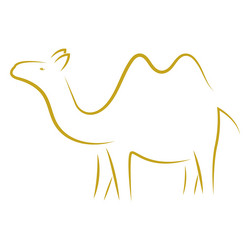 Camel design Royalty Free Vector Image - VectorStock