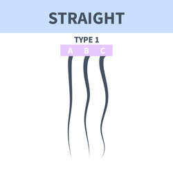 Hair types chart set of strands growth patterns Vector Image