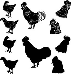 Chicken Vector Images (over 190,000)