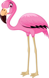 Flamingo cartoon posing Royalty Free Vector Image