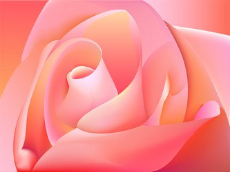 Pink roses background Royalty Free Vector Image